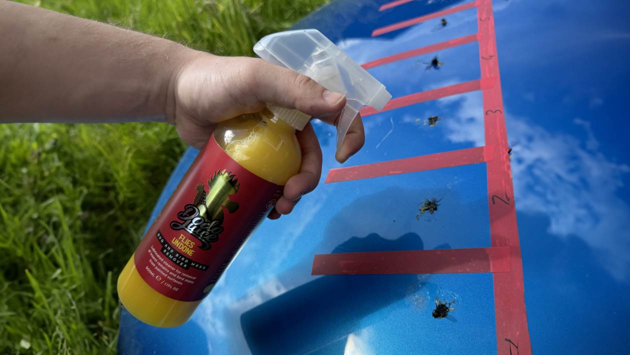 Best car bug remover store